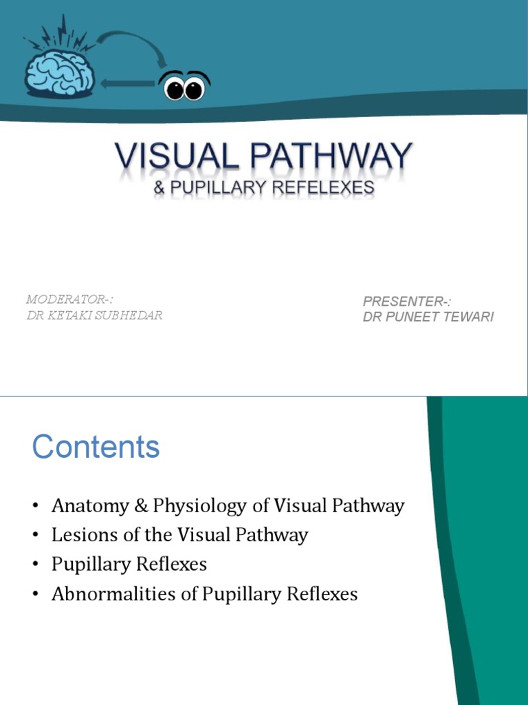 Visual ND Pupillary Pathway | PDF | Light | Nervous System