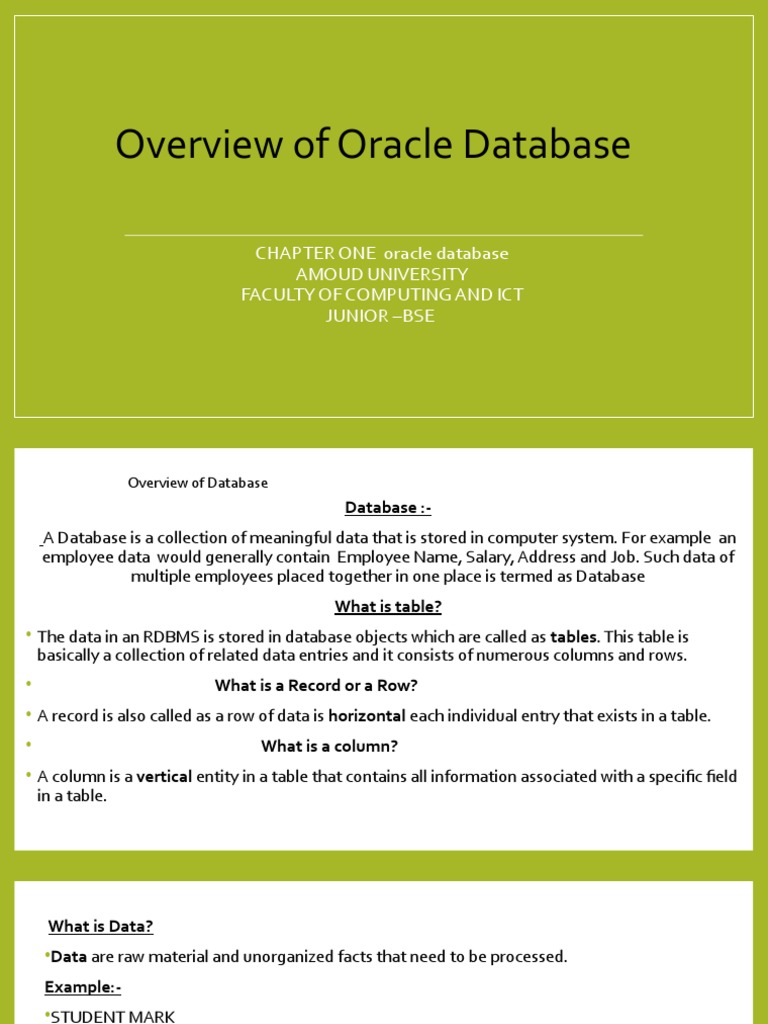 Ch1 Oracle Introduction | PDF