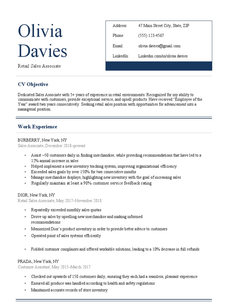 Pro CV Template Dark Blue | PDF