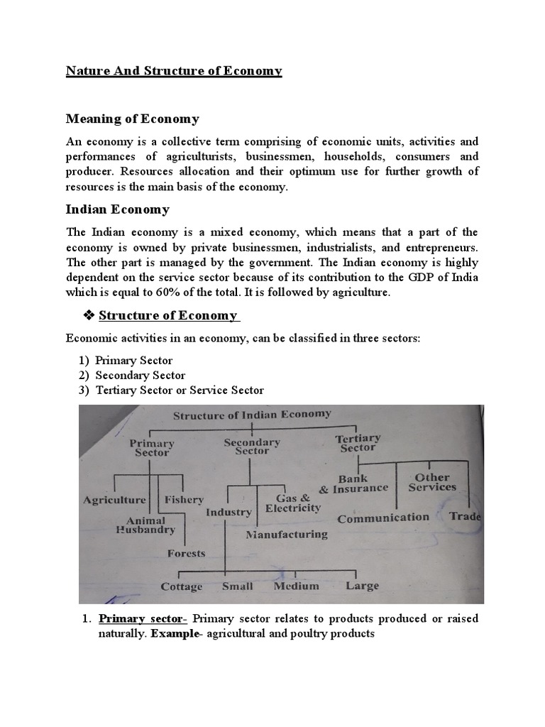 Nature and Structure of Economy | PDF | Economy Of India | Economies