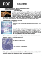 Parafango | PDF | Terapia física | Terapia