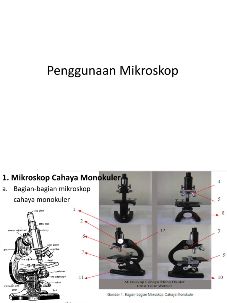 Penggunaan Mikroskop | PDF
