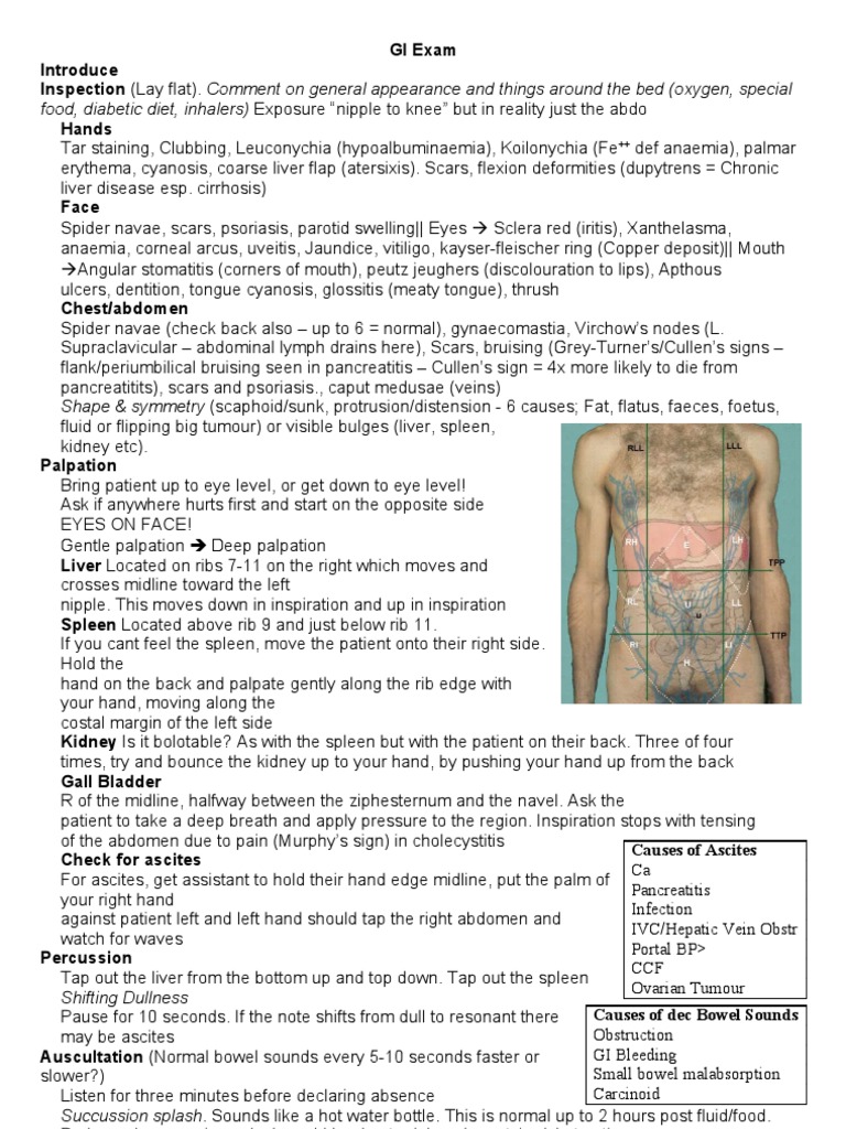 Comprehensive GI Examination Techniques | PDF | Liver | Kidney