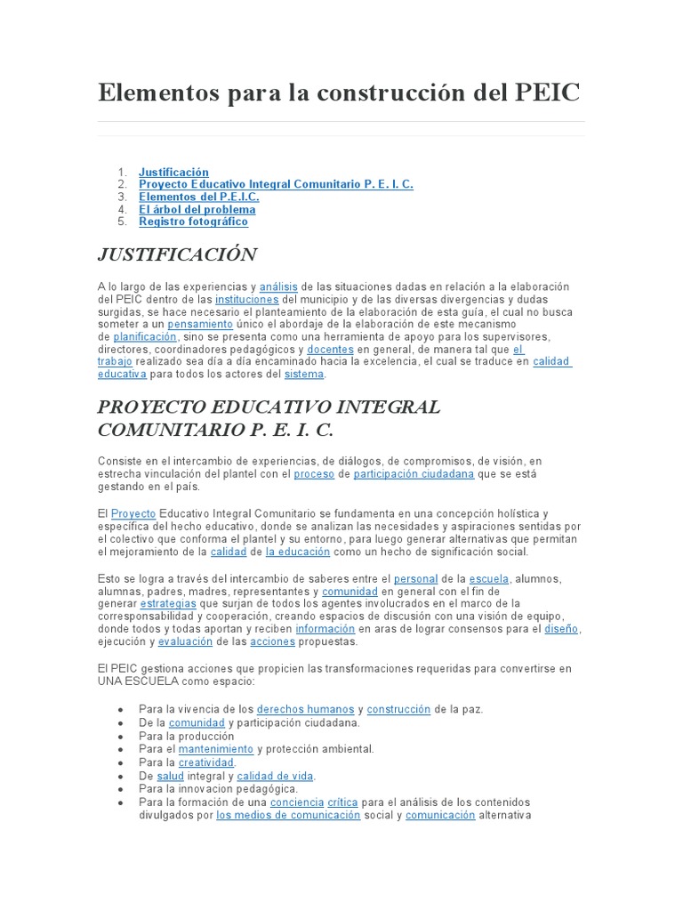 Elementos para La Construcción Del PEIC | PDF | Análisis FODA