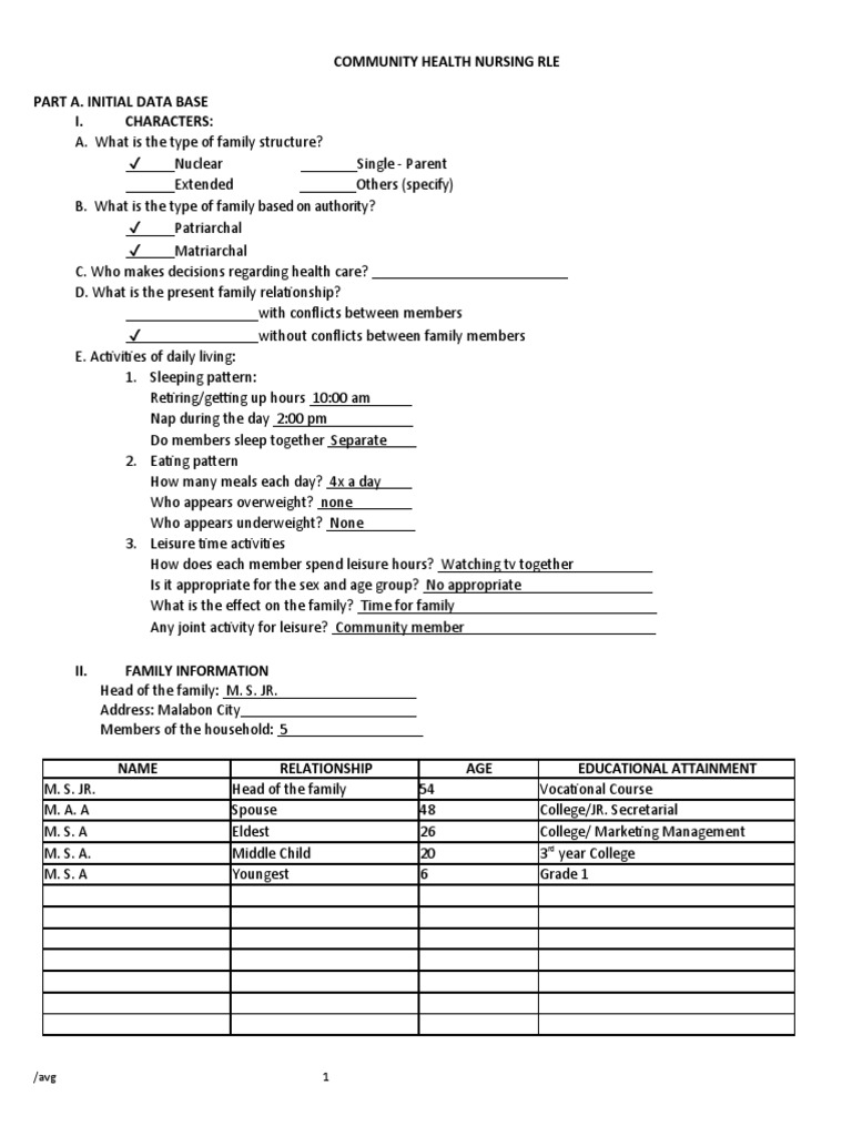 INITIAL-DATA-BASE Form For Family FB | PDF | Health Care | Health Sciences