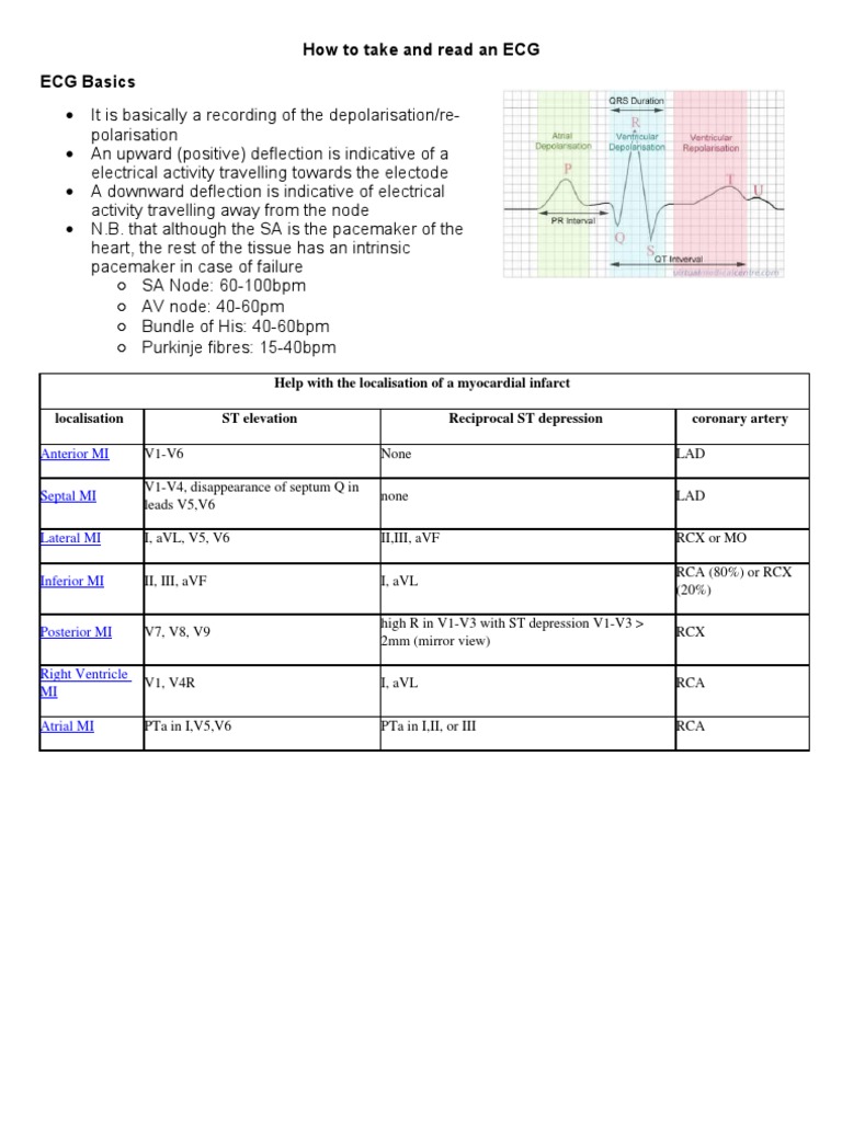 How To Take and Read An ECG ECG Basics | Download Free PDF ...