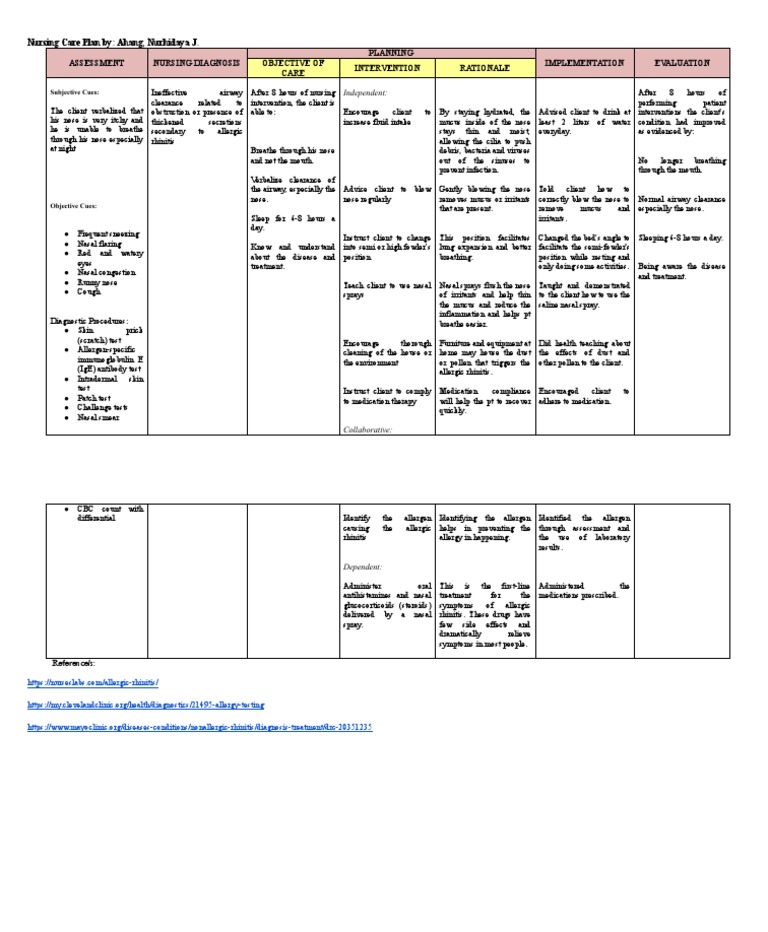 NCP Allergic Rhinitis | PDF
