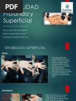 PALESTESIA Definicion y Exploración | PDF | Mano | Sistema ...