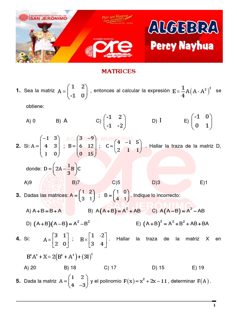 Ejercicios de Matrices y Álgebra Lineal | PDF | Matriz (Matemáticas ...