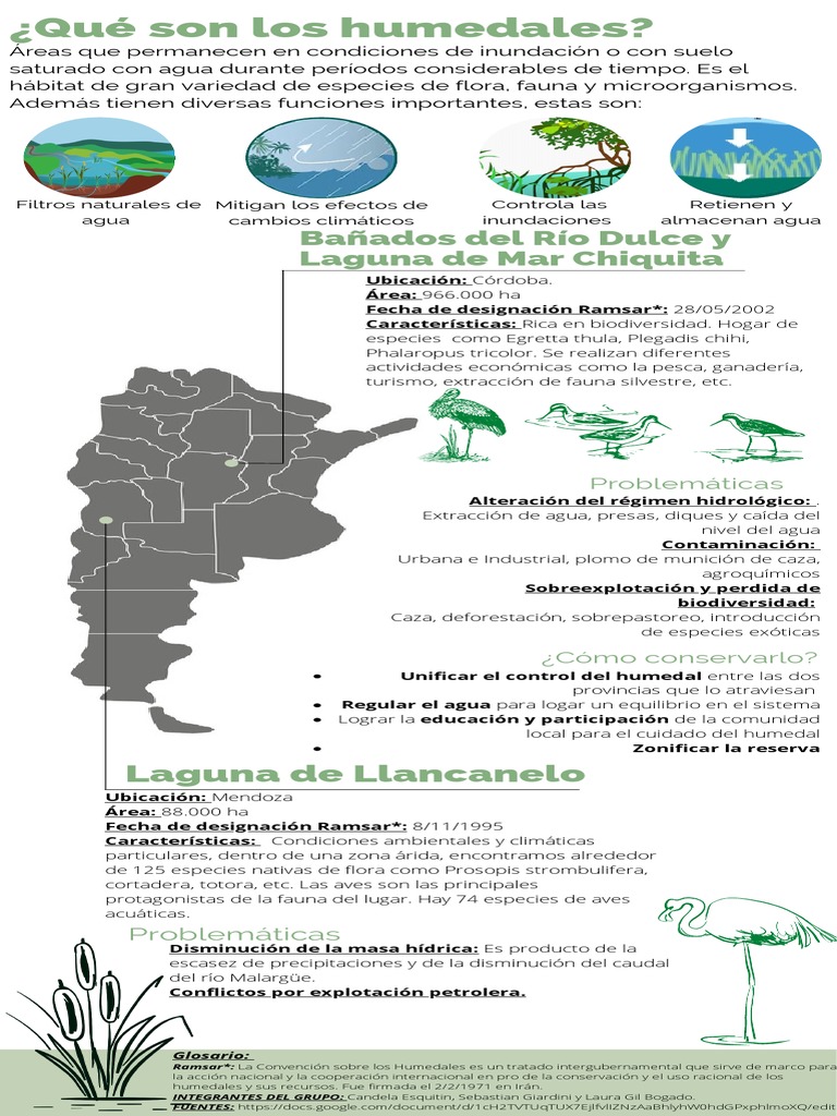 ¿Qué Son Los Humedales? | PDF | Humedal | Agua