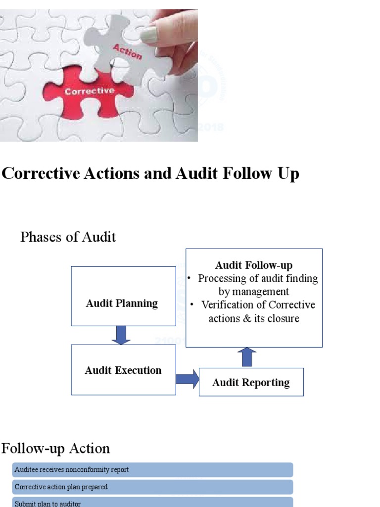 Audit Corrective Actions Process | PDF