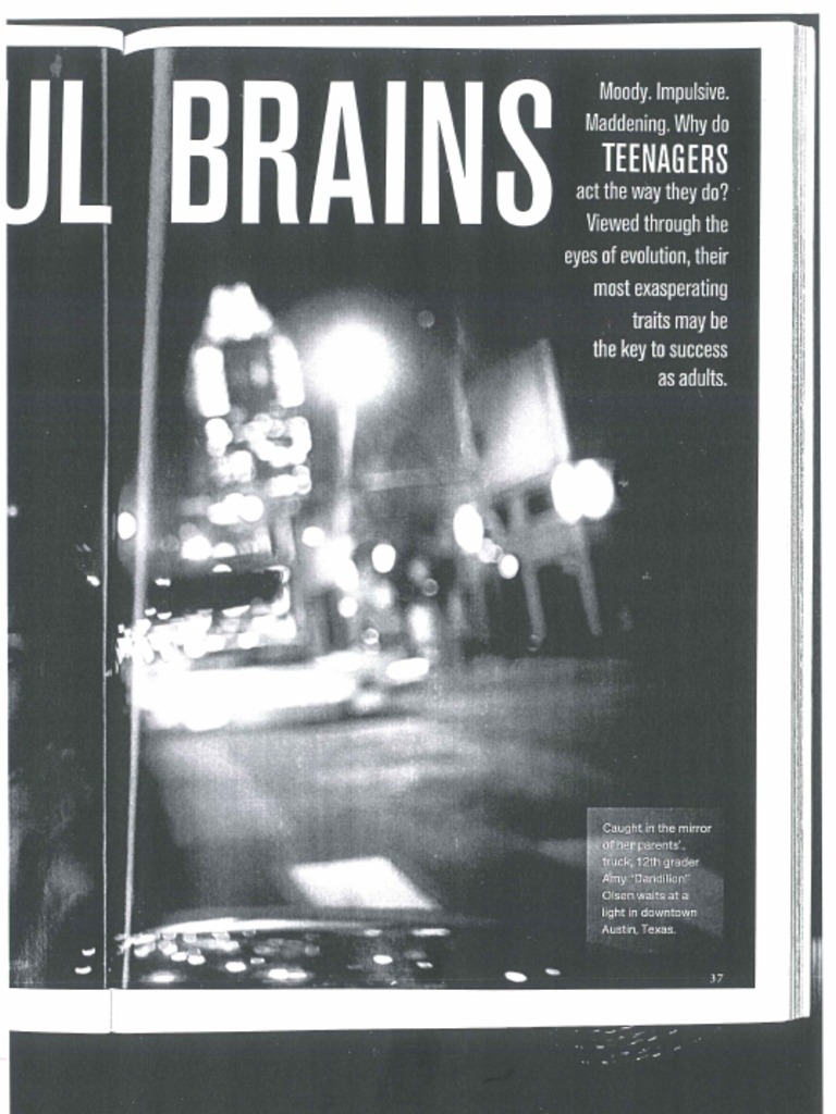 Teenage Brains | PDF