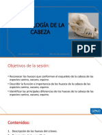 Reflejo de Flehmen en Animales | PDF | Biología