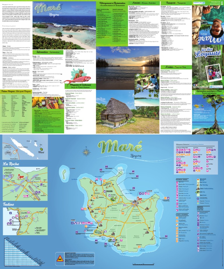 Plan Mare | PDF