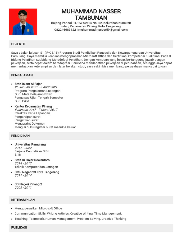 CV - Muhammad Nasser | PDF