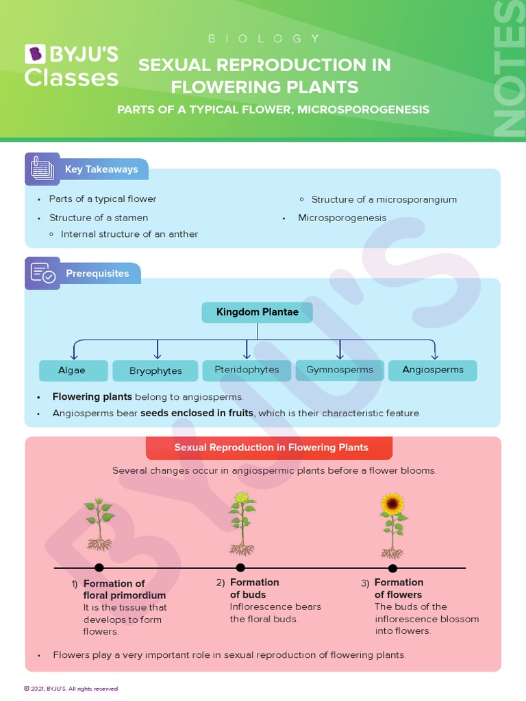 CBSE Class 12 Sexual Reproduction in Flowering Plants Study Notes1 ...