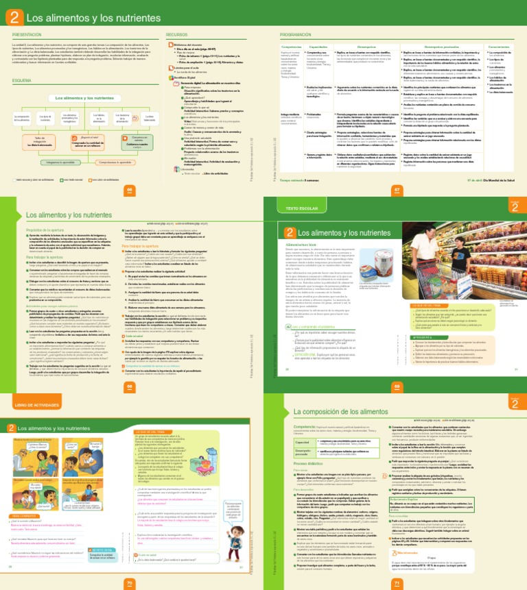 Guía 2 | PDF | Dieta | Alimentos