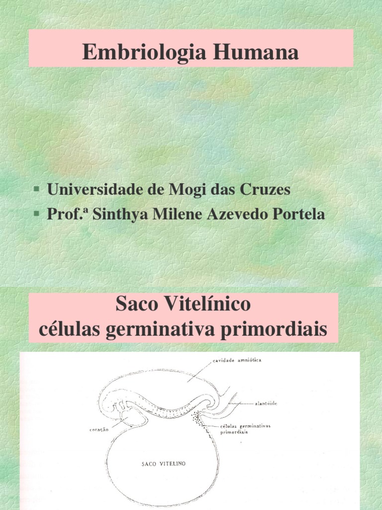 Aula 3 - Embriologia Humana | PDF | Biologia | Morfologia (Biologia)