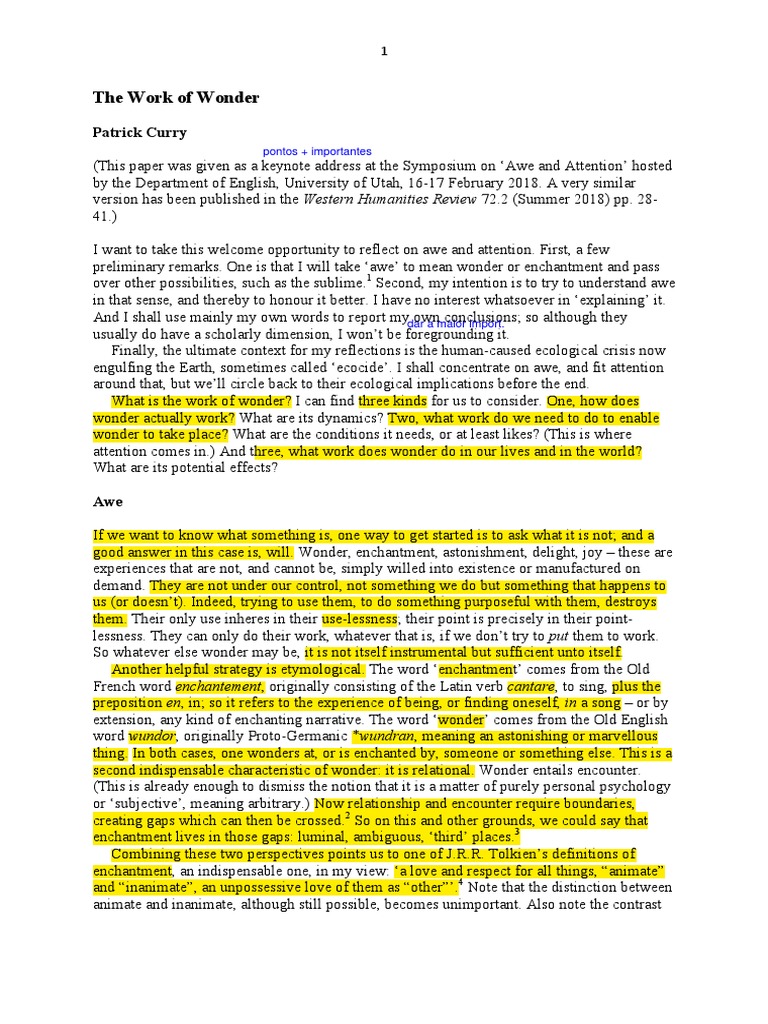 The Work of Wonder | PDF | Reason | Max Weber
