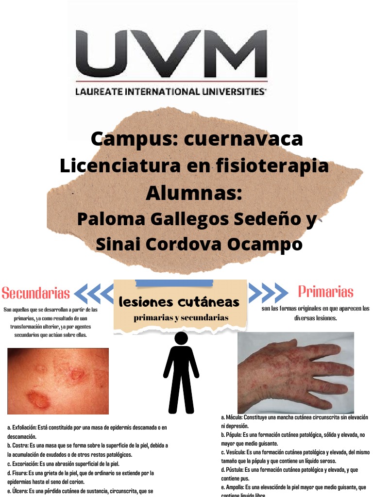 Tipos de Lesiones Cutáneas Primarias | PDF