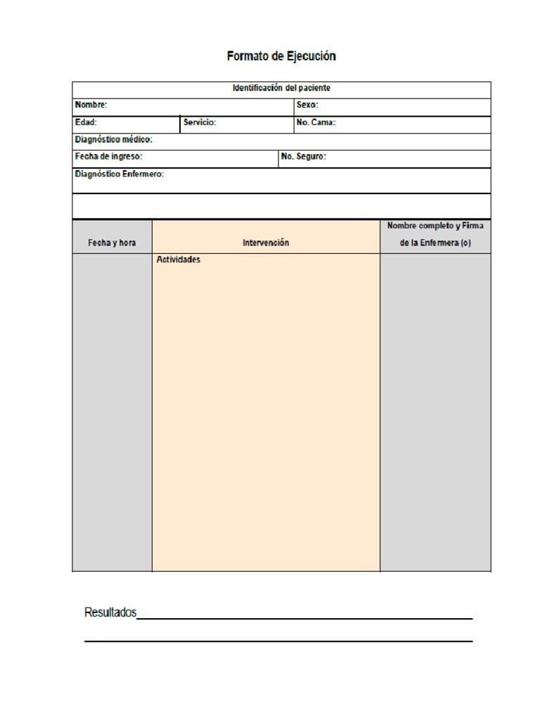 PLACE - Formato de Ejecución | PDF