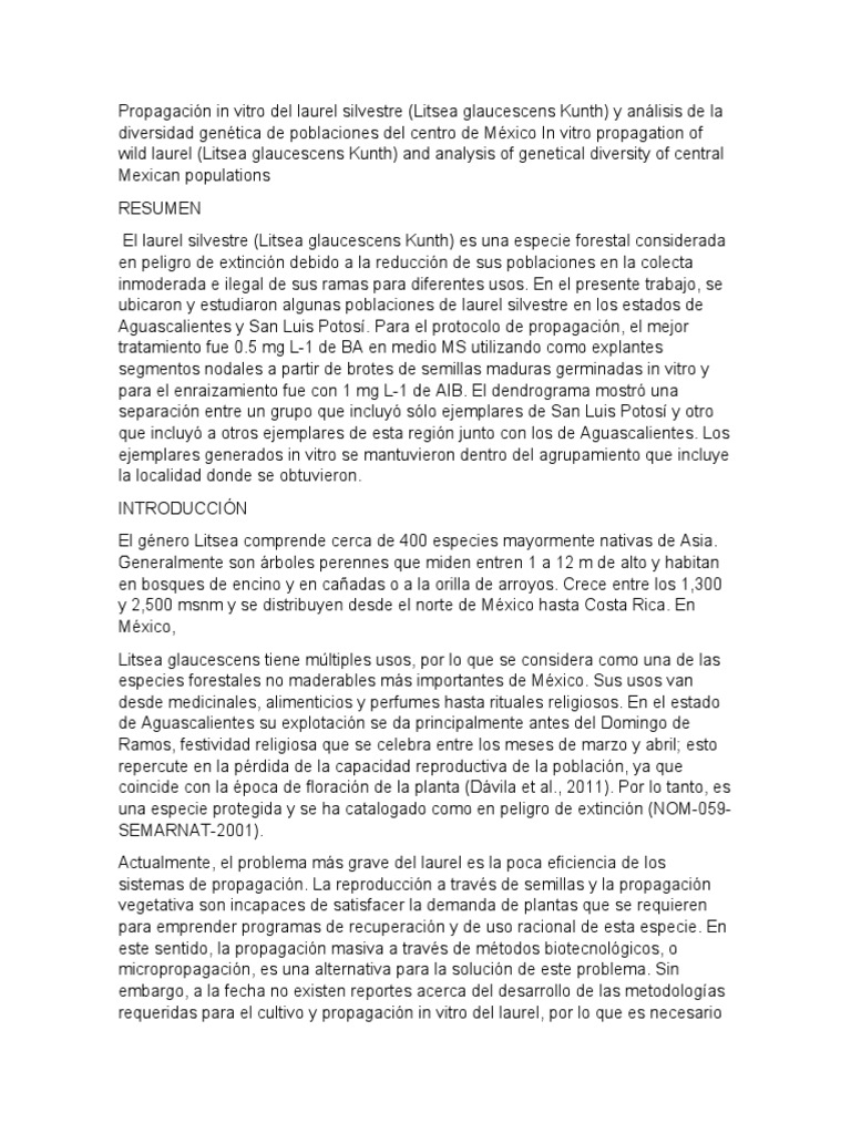 Propagación in vitro de laurel silvestre | PDF | Reacción en cadena de ...