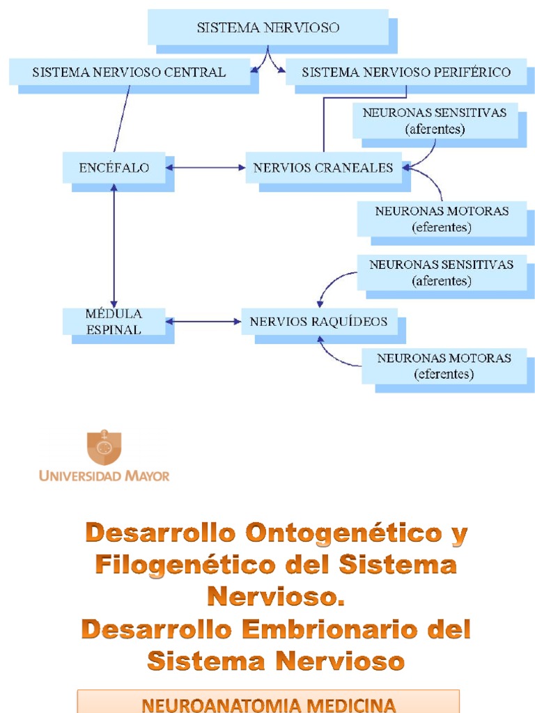 Httpslearn Us East 1 Prod Fleet02 Xythos - Content.blackboardcdn - Com5c47476e8dd1a12710503x ...