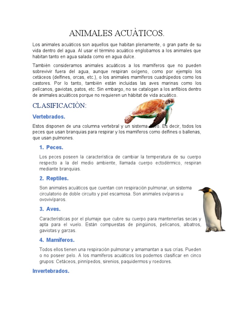 Animales Acuàticos Pdf Esponja Mamíferos