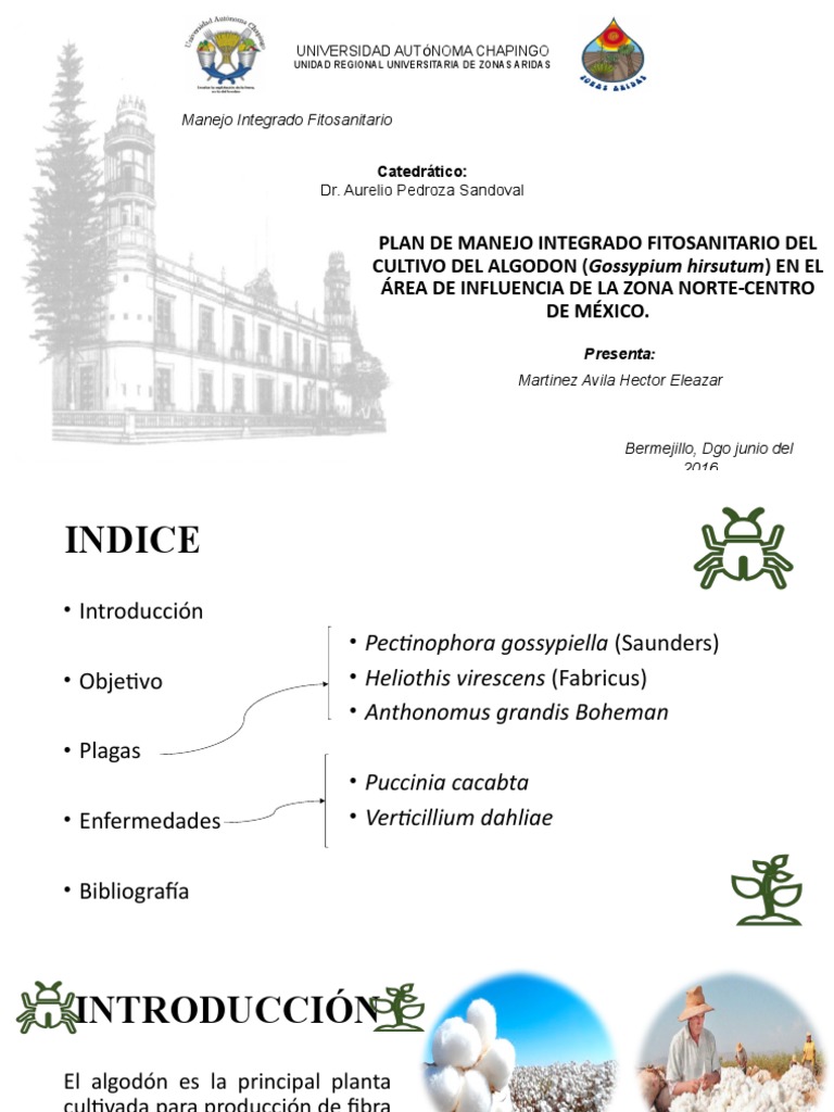 Plan integral para el manejo de plagas y enfermedades del cultivo de ...