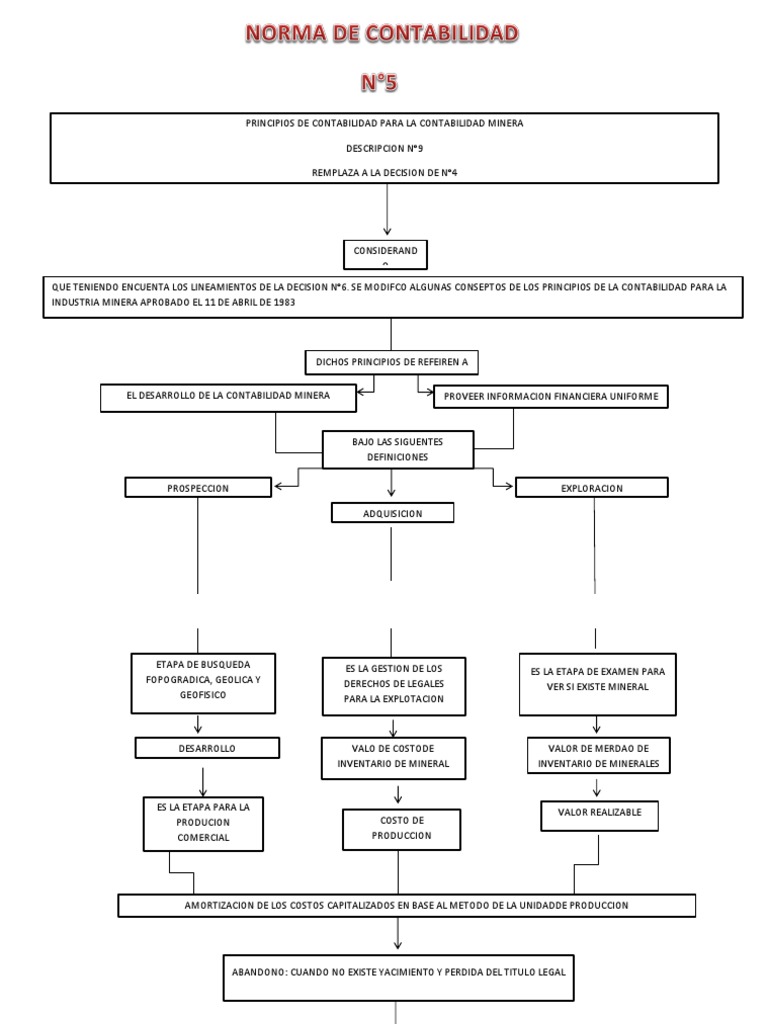 Mapa Conceptual Norma Contable N°5 Nacional Cntac | PDF