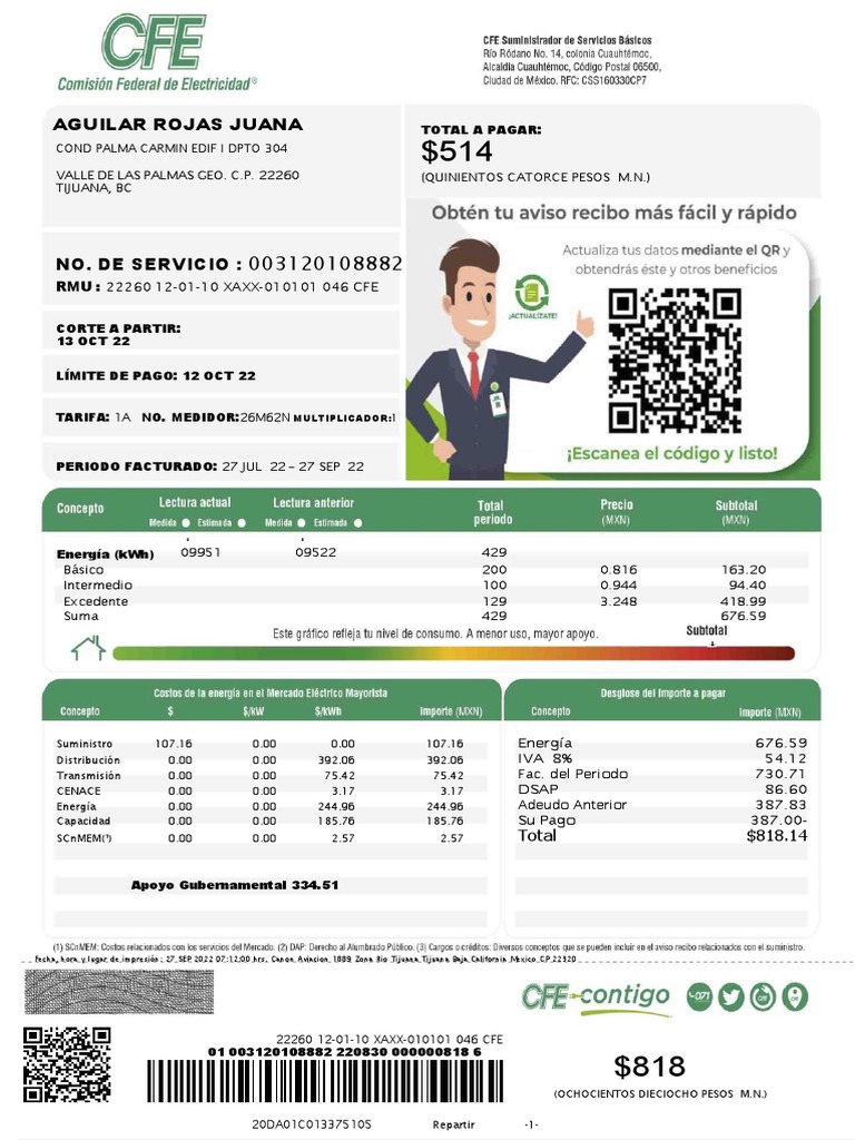 PDF Editable Cfe | PDF