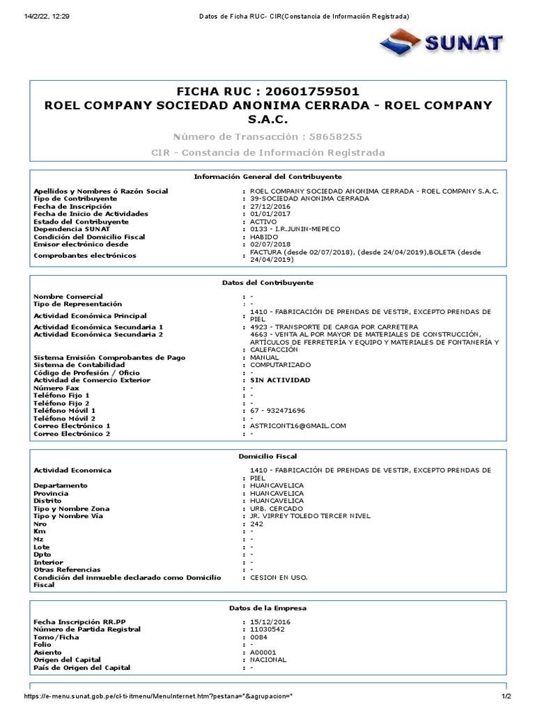 Ficha Ruc - Roel Company | PDF | Business | Economias