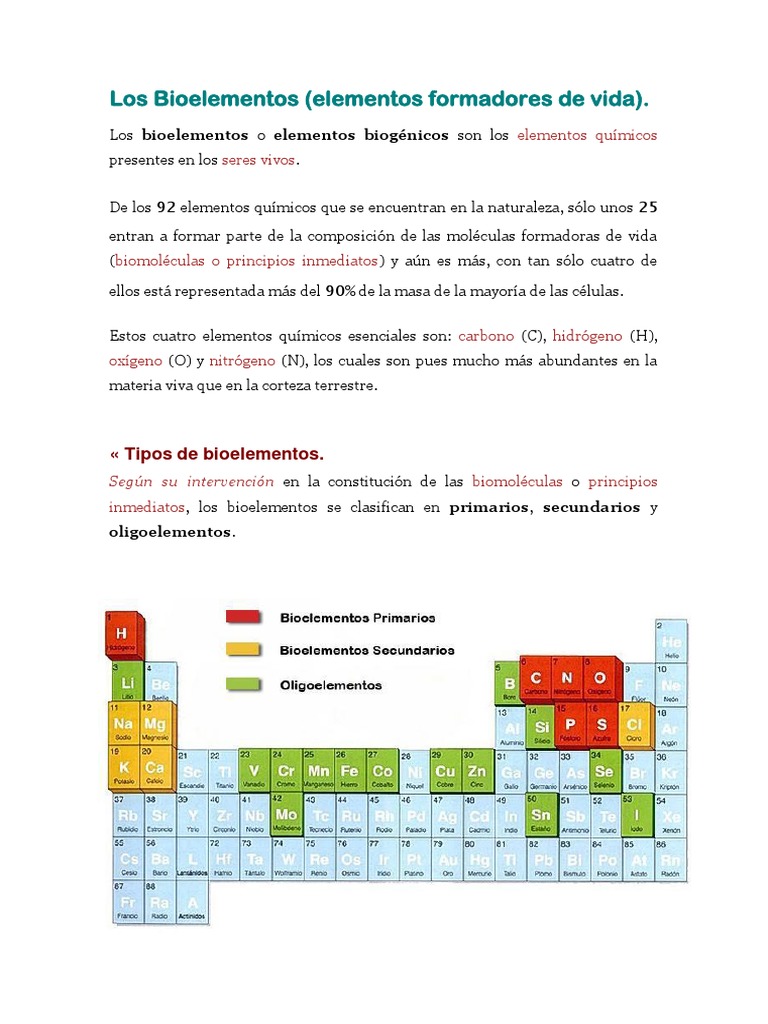 Bioelementos: Fundamentos y Clasificación | PDF | Biomoléculas | Química