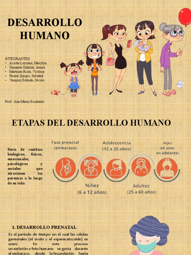 Etapas Del Desarrollo Humano | PDF | Adultos | Vejez