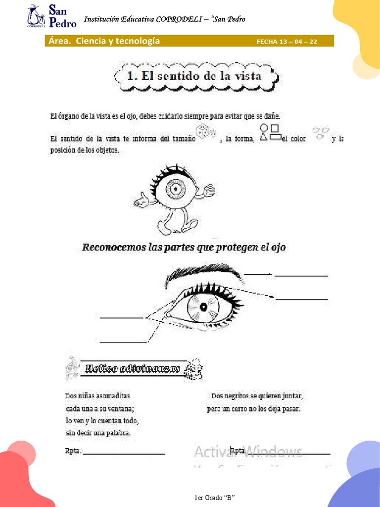 Ficha El Sentido de La Vista | PDF