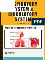 Lung Model With Two Lungs and Diaphragm Lab | PDF