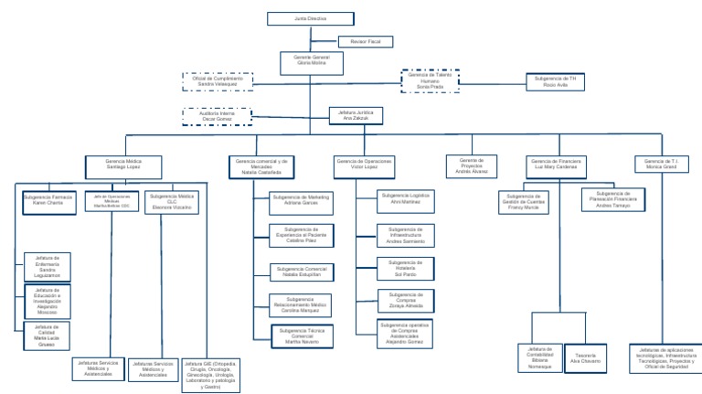 Organigrama Medical | PDF | Negocios económicos | Especialidades Medicas