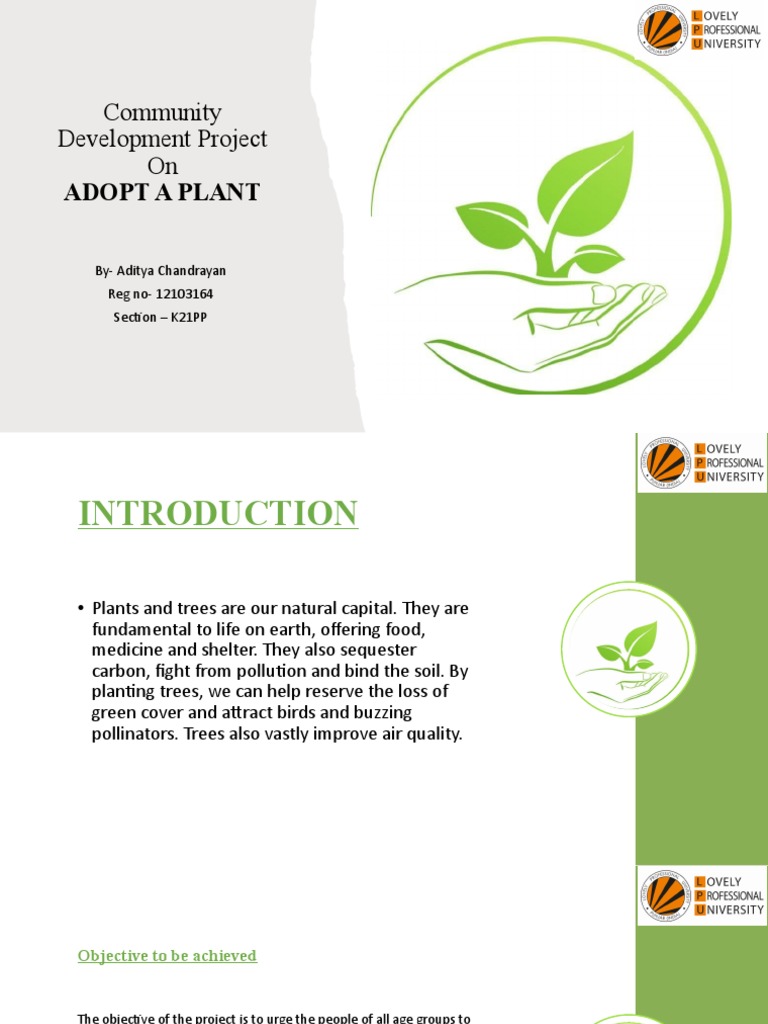 Community Development Project Aditya Chandrayan | PDF | Plants | Soil