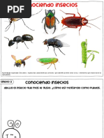 Anexos y Fichas Plan Insectos | PDF | Insectos