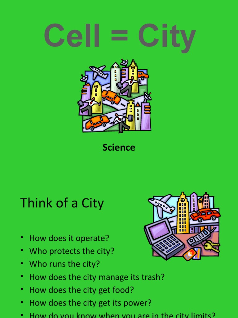 Cell City | PDF | Cell (Biology) | Endoplasmic Reticulum