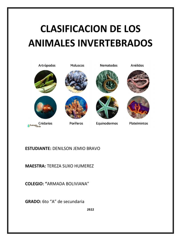 Clasificación de Invertebrados | PDF