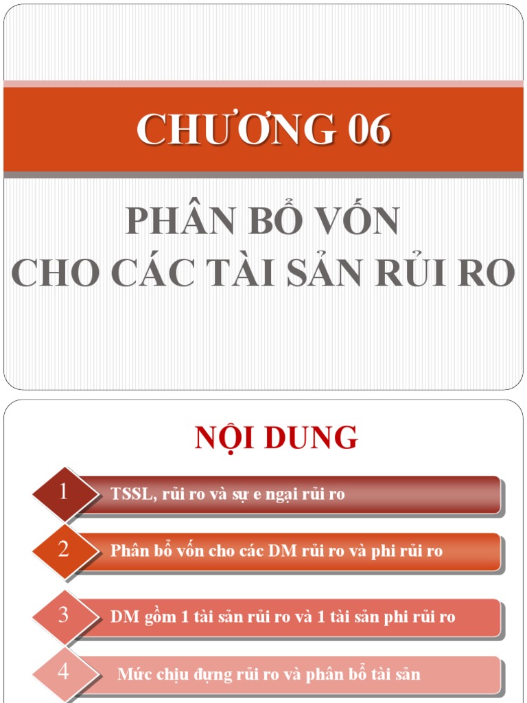 C06 - Capital Allocation To Risky Assets | PDF