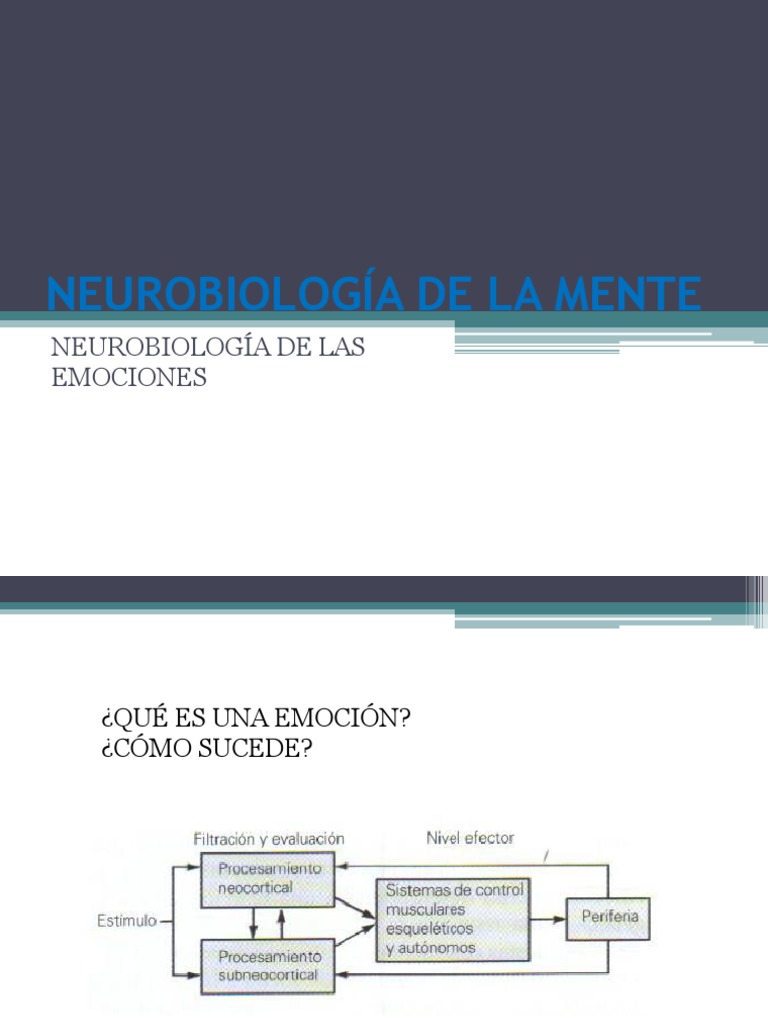 Neurobiología De Las Emociones Presentación De Clases Pdf Las