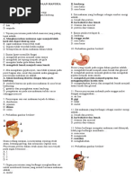 Bagian Neuron Dan Fungsinya | PDF