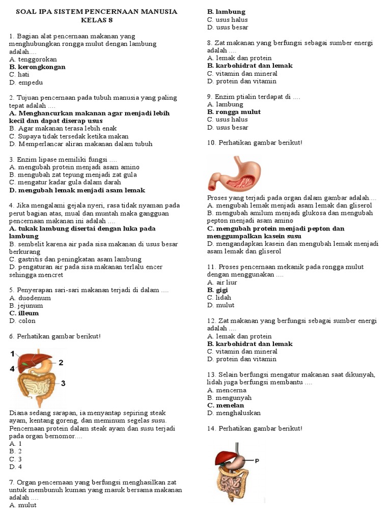 SOAL IPA SISTEM PENCERNAAN MANUSIA KELAS 8 Dan Jawaban | PDF