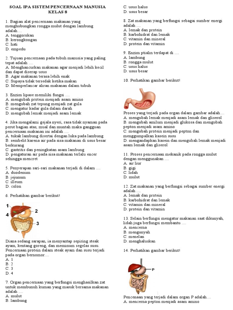 SOAL IPA SISTEM PENCERNAAN MANUSIA KELAS 8 Soal | PDF