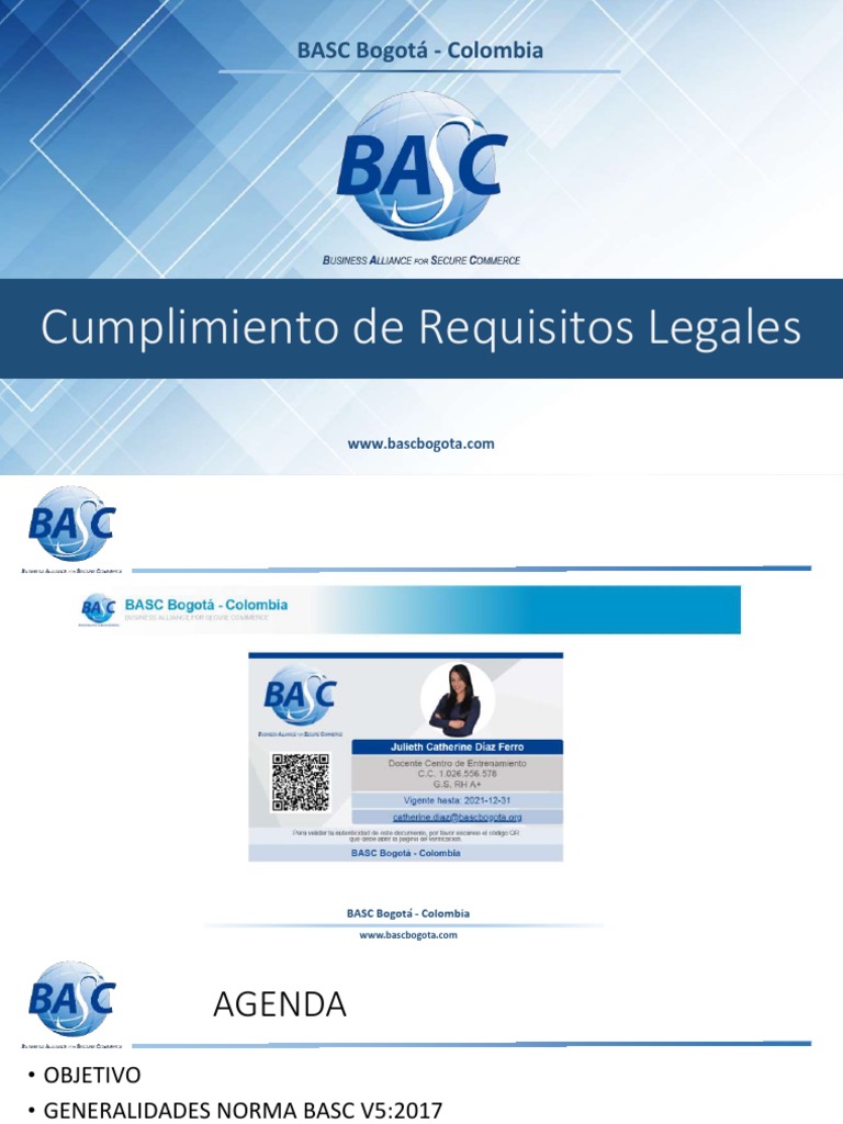 Basc Norma | PDF | Business | Indicador de rendimiento