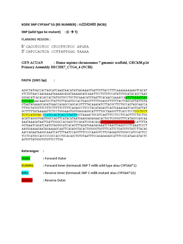 Desain Primer Cyp3a4 Arms PCR | PDF