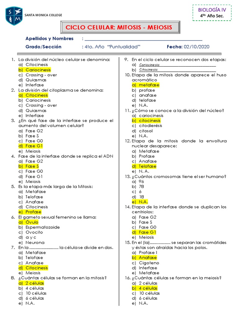 Ciclo Celular Mitosis y Meiosis PD | PDF