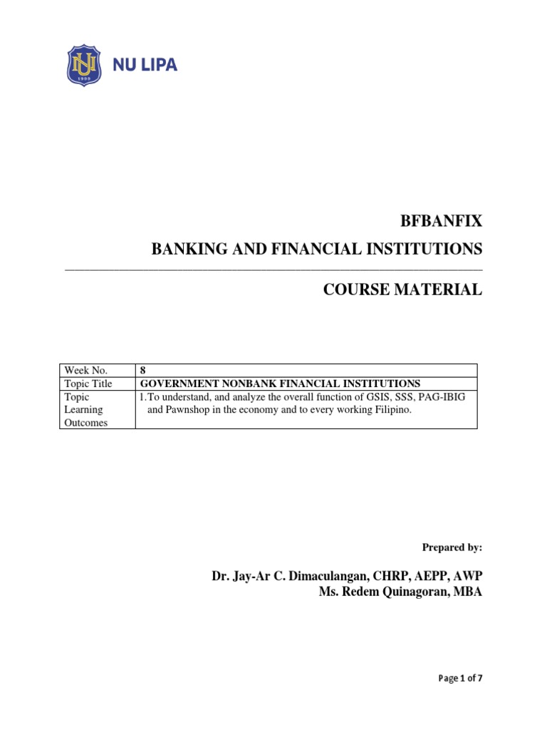 Government Non-Bank Financial Institutions | PDF | Economies | Financial Services